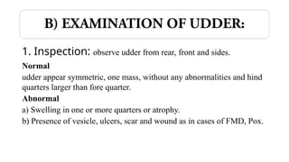 Mastitis The Most Common Large Animal Disease.ppt