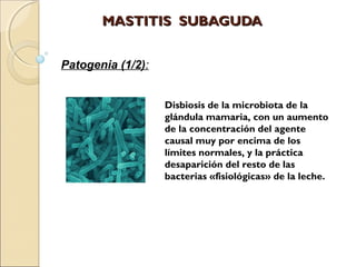 Mastitis y lactancia materna | PPT