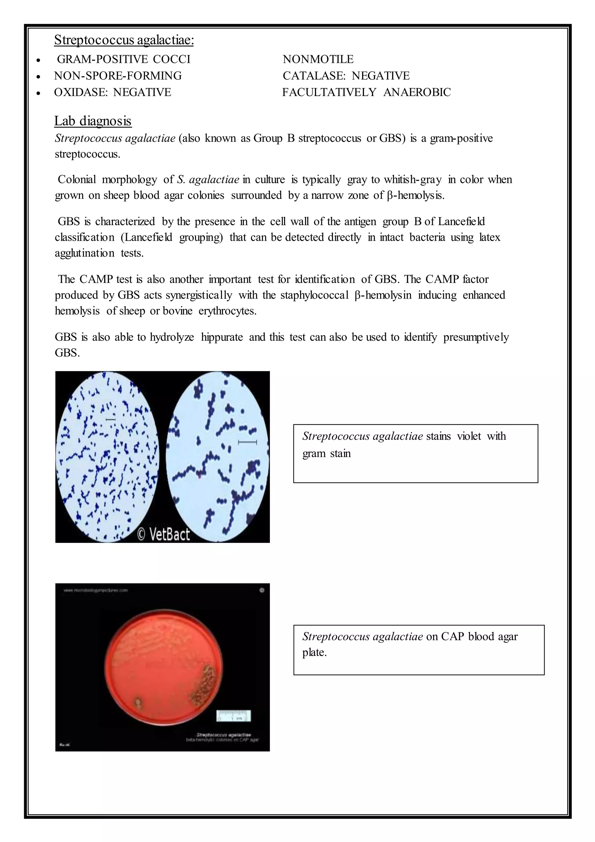 Laboratory diagnosis of bovine mastitis bacteria. | DOCX | Ear, Nose ...