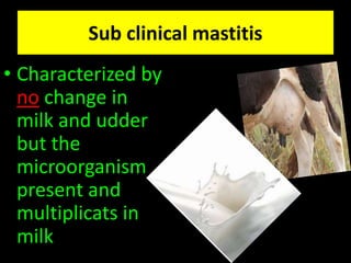 Mastits 2021 | PPT