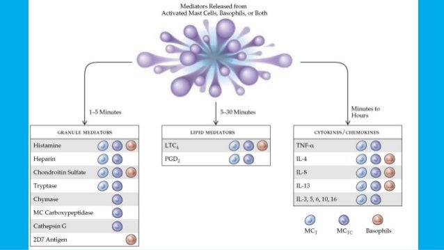 Mastocytosis