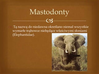 Mastodonty | PPTX