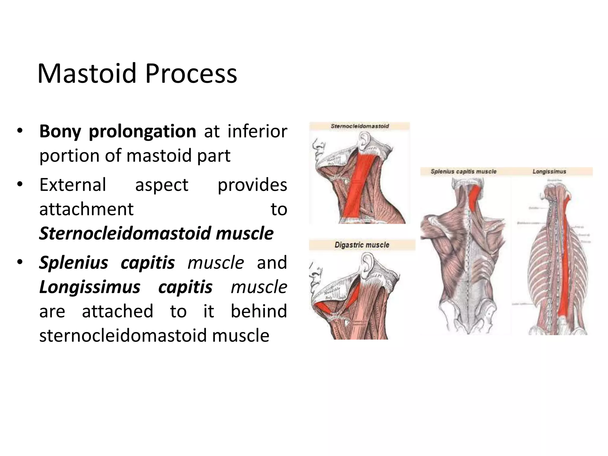 Mastoid diseases imaging | PPTX