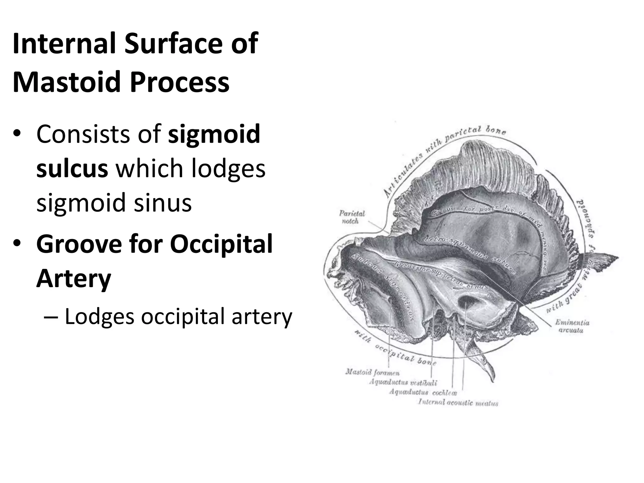 Mastoid diseases imaging | PPTX