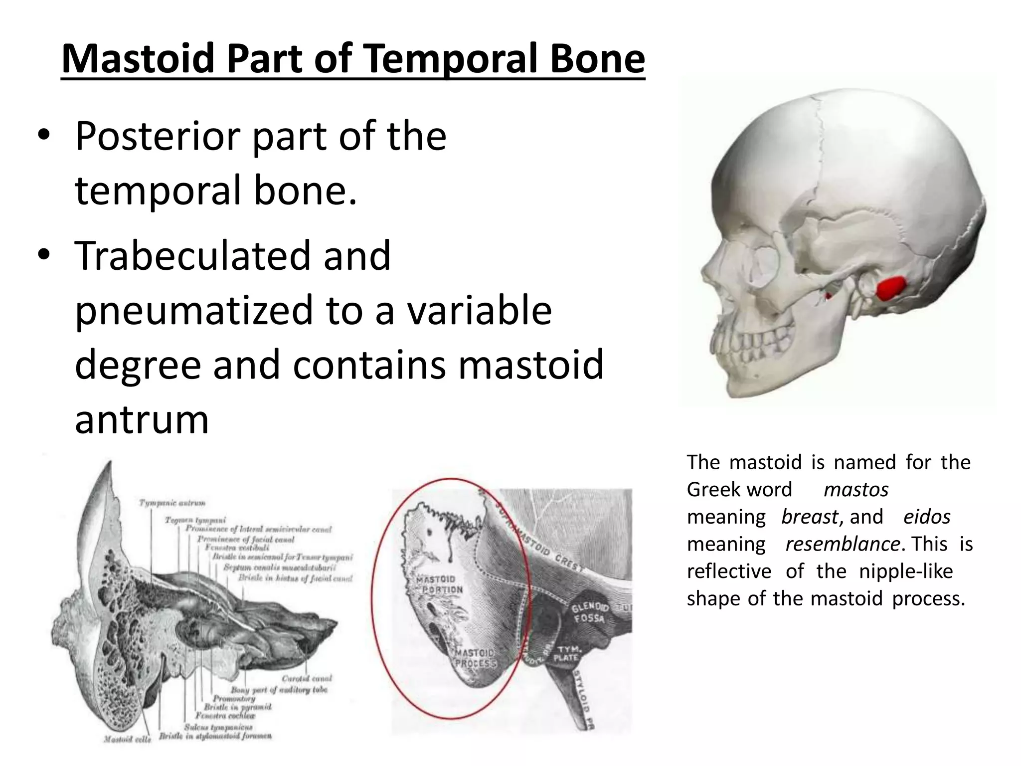 Mastoid diseases imaging | PPTX