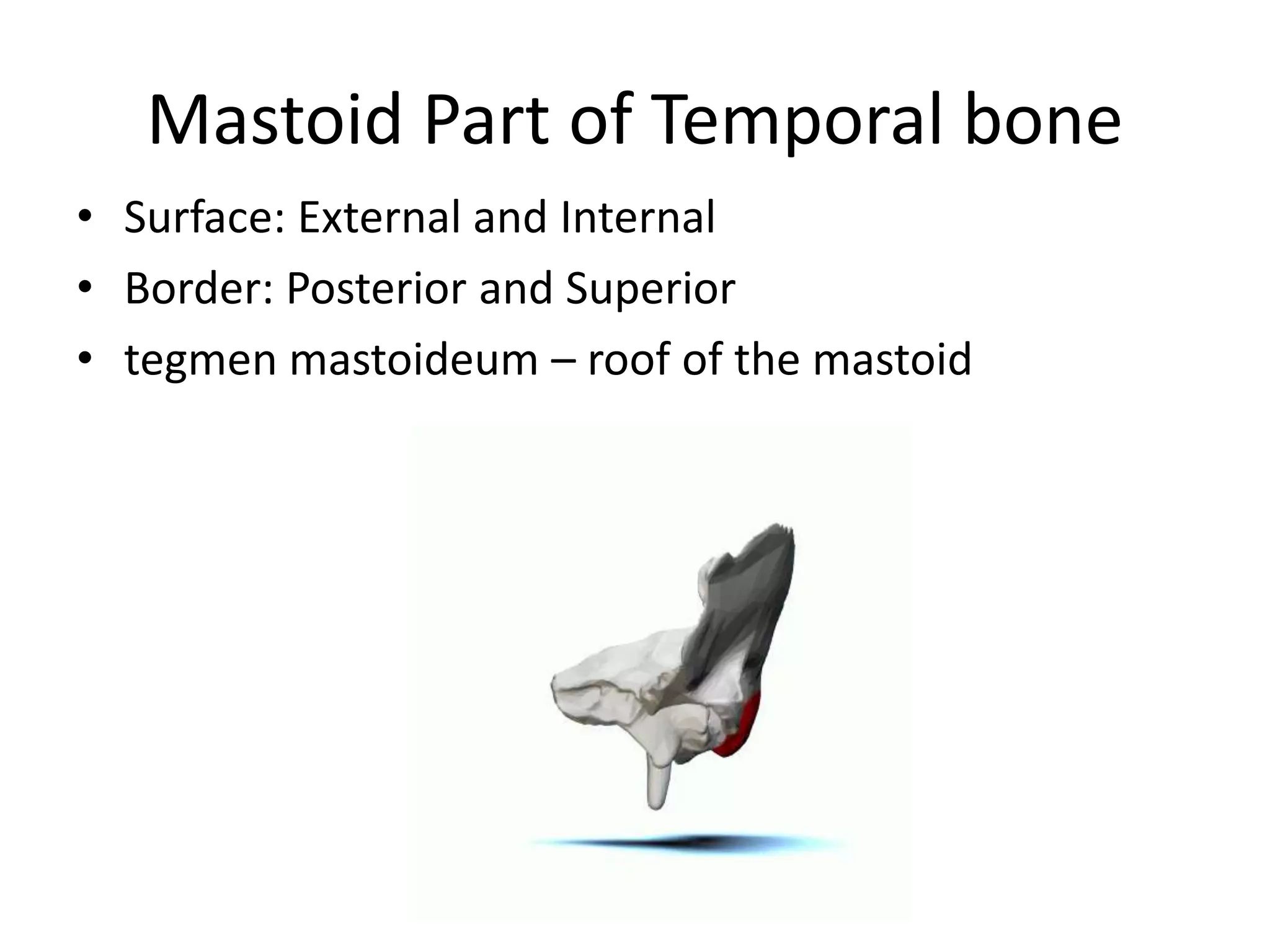 Mastoid diseases imaging | PPTX