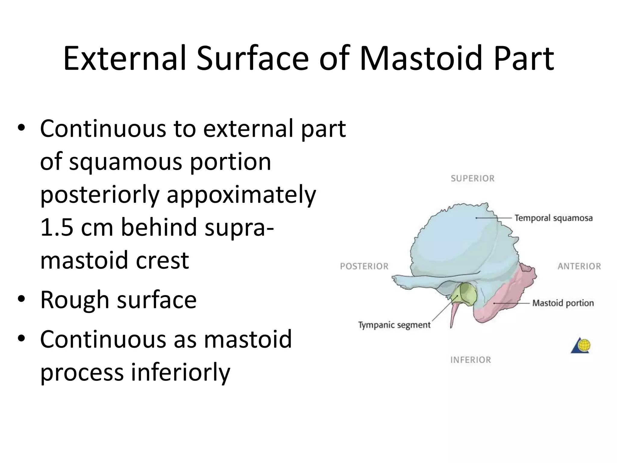 Mastoid diseases imaging | PPTX
