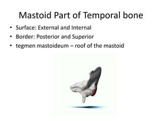 Mastoid diseases imaging | PPTX