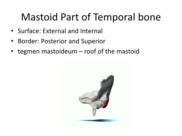 Mastoid diseases imaging | PPTX