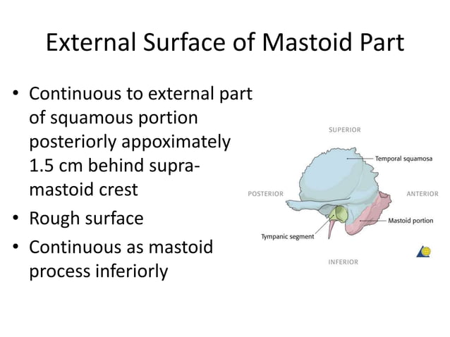 Mastoid diseases imaging | PPTX