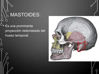 Mastoidectomía | PPTX