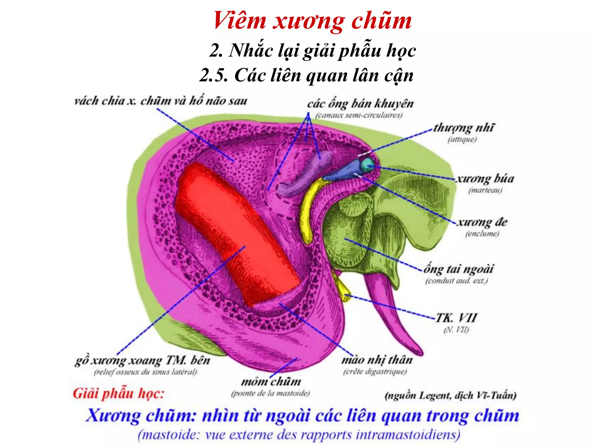 Mastoiditis part 1 | PDF