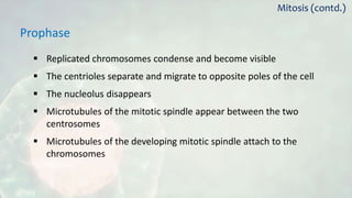 Cell cycle & Cell division | PPTX