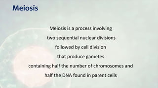 Cell cycle & Cell division | PPTX