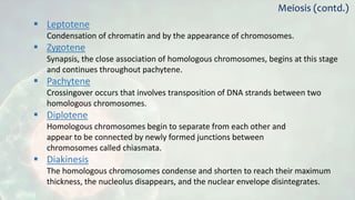 Cell cycle & Cell division | PPTX