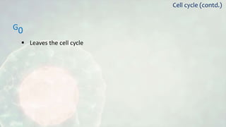 Cell cycle & Cell division | PPTX