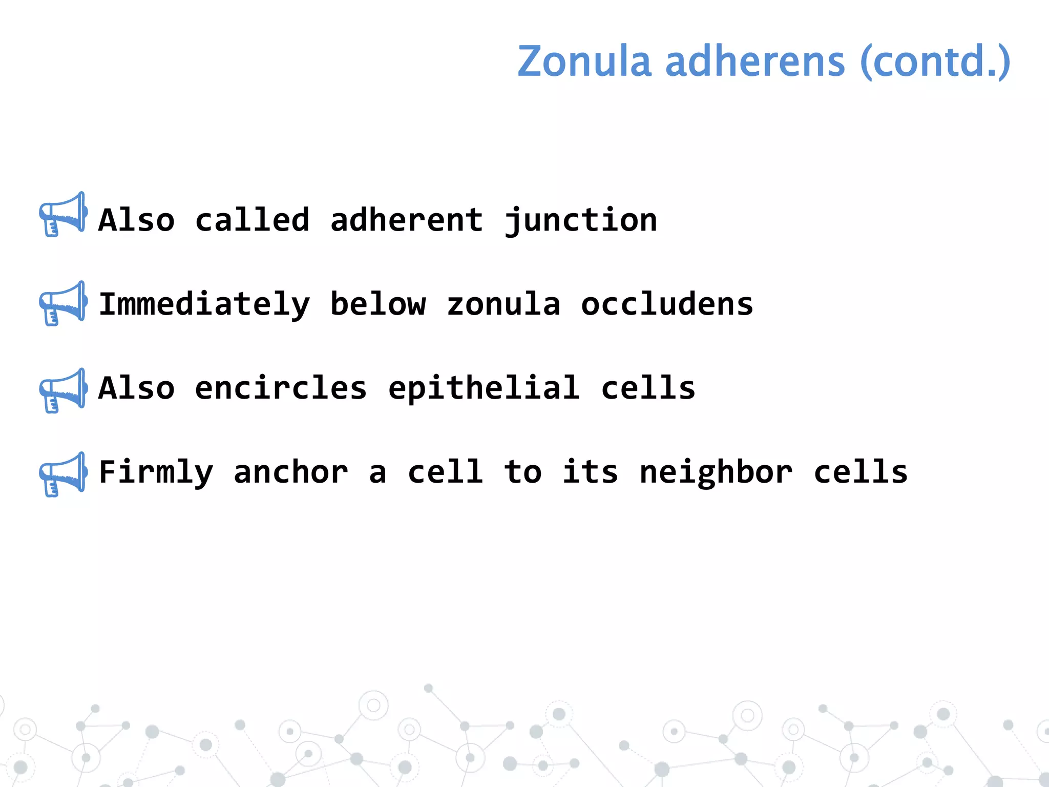 Cell junction & Junctional complexes | PPTX