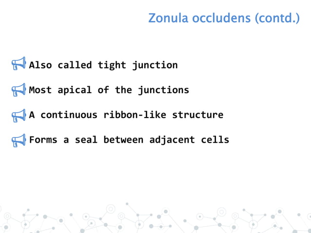 Cell junction & Junctional complexes | PPTX | Biological Sciences | Science