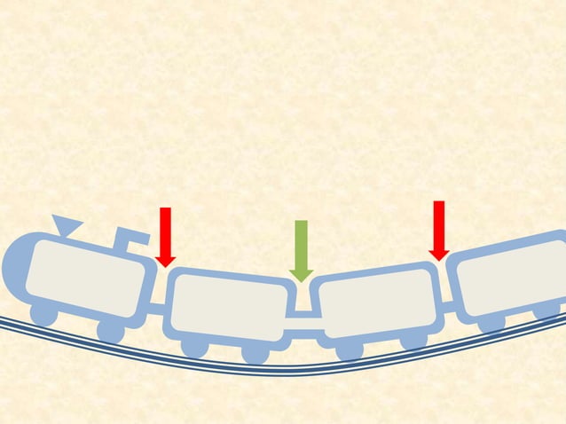 Cell junction & Junctional complexes | PPTX | Biological Sciences | Science