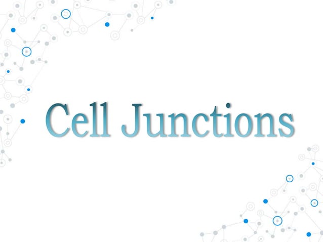 Cell junction & Junctional complexes | PPTX | Biological Sciences | Science