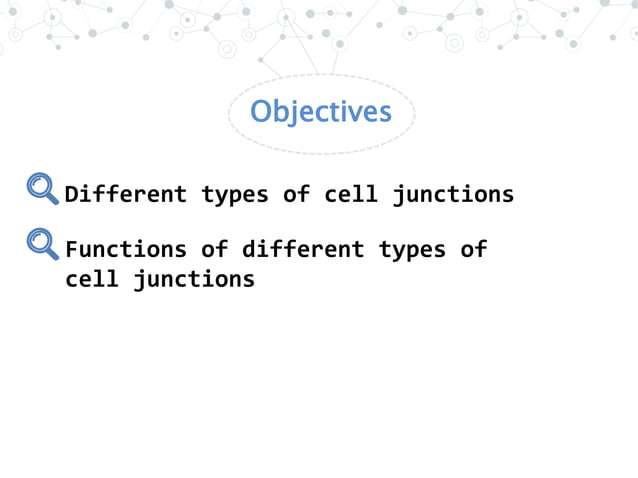 Cell junction & Junctional complexes | PPTX | Biological Sciences | Science