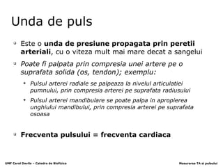 Masurarea ta puls | PDF