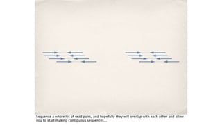 Masurca genome assembly with super reads | PPT