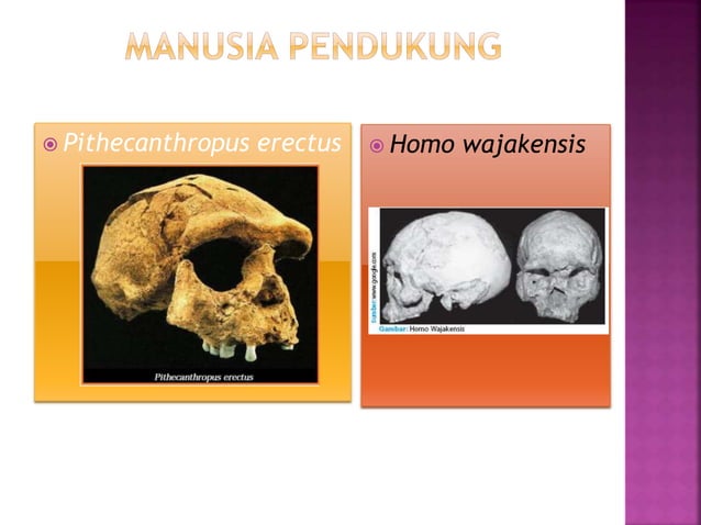 Masyarakat berburu dan meramu tingkat awal | PPT
