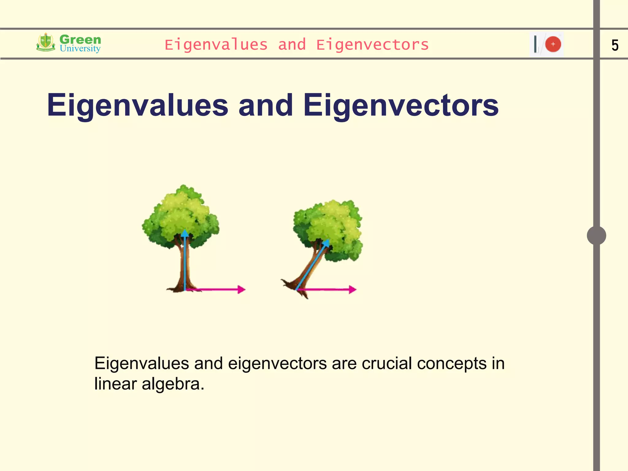 Application of Linear Algebra in Real Life | PPTX | Physics | Science