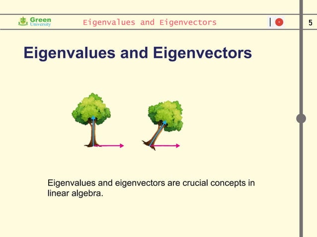 Application of Linear Algebra in Real Life | PPTX | Physics | Science