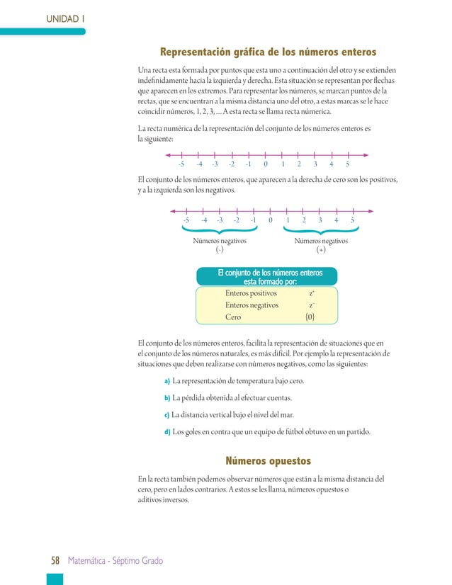 Matemática Séptimo Grado | PDF