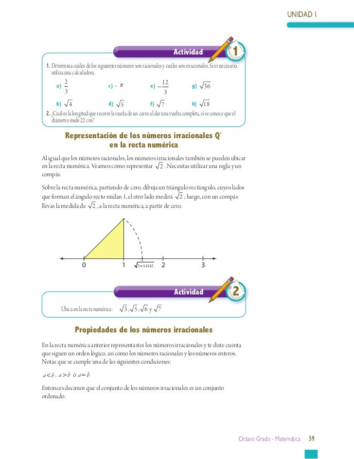 Hojas De Trabajo De Matemáticas De Octavo Grado Sobre Transformación