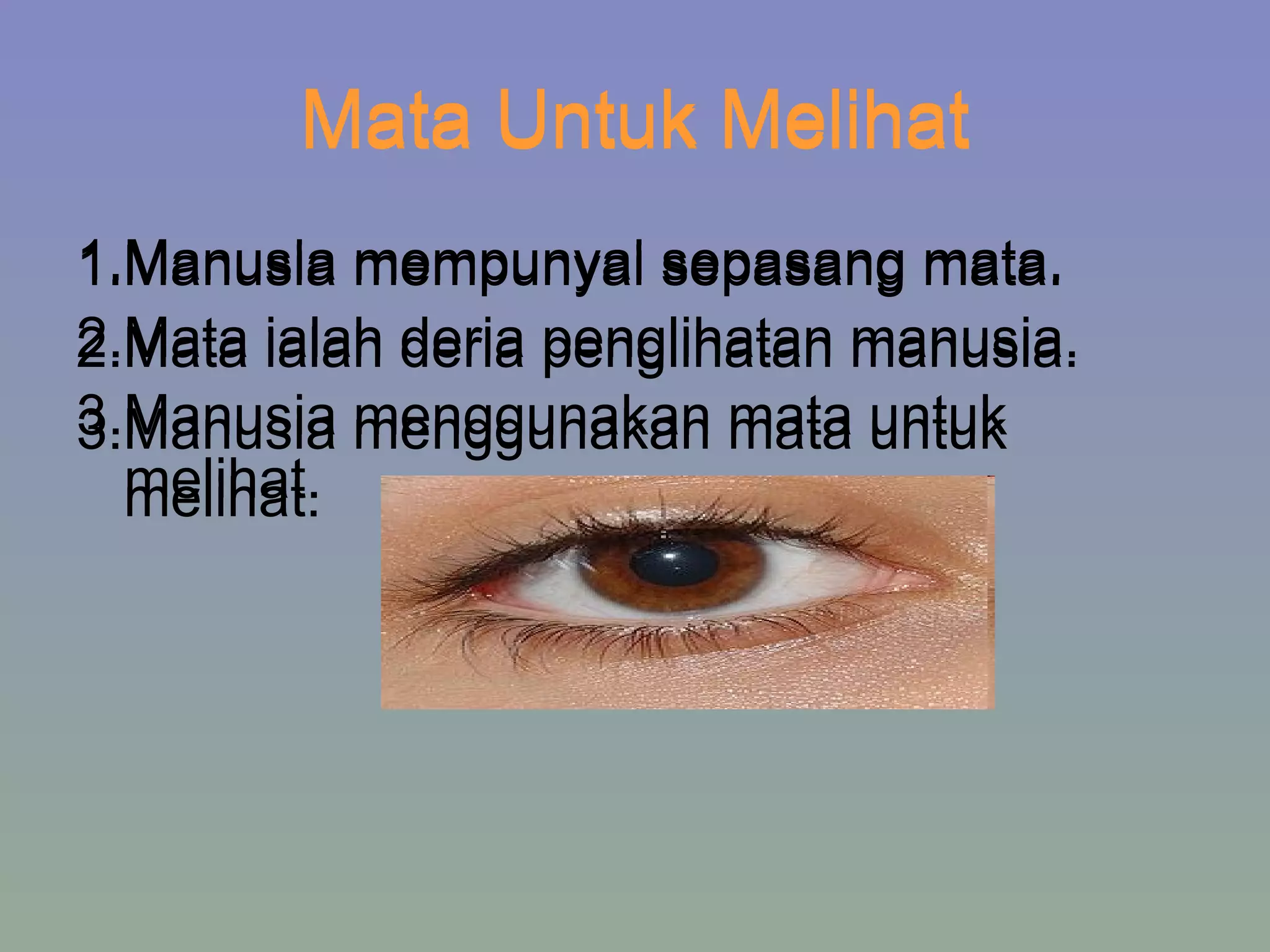 Mata | PPT