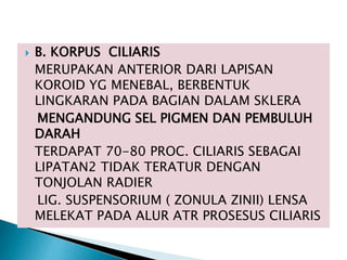 histologi mata (modul organ sensoris) | PPTX