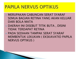 histologi mata (modul organ sensoris) | PPTX
