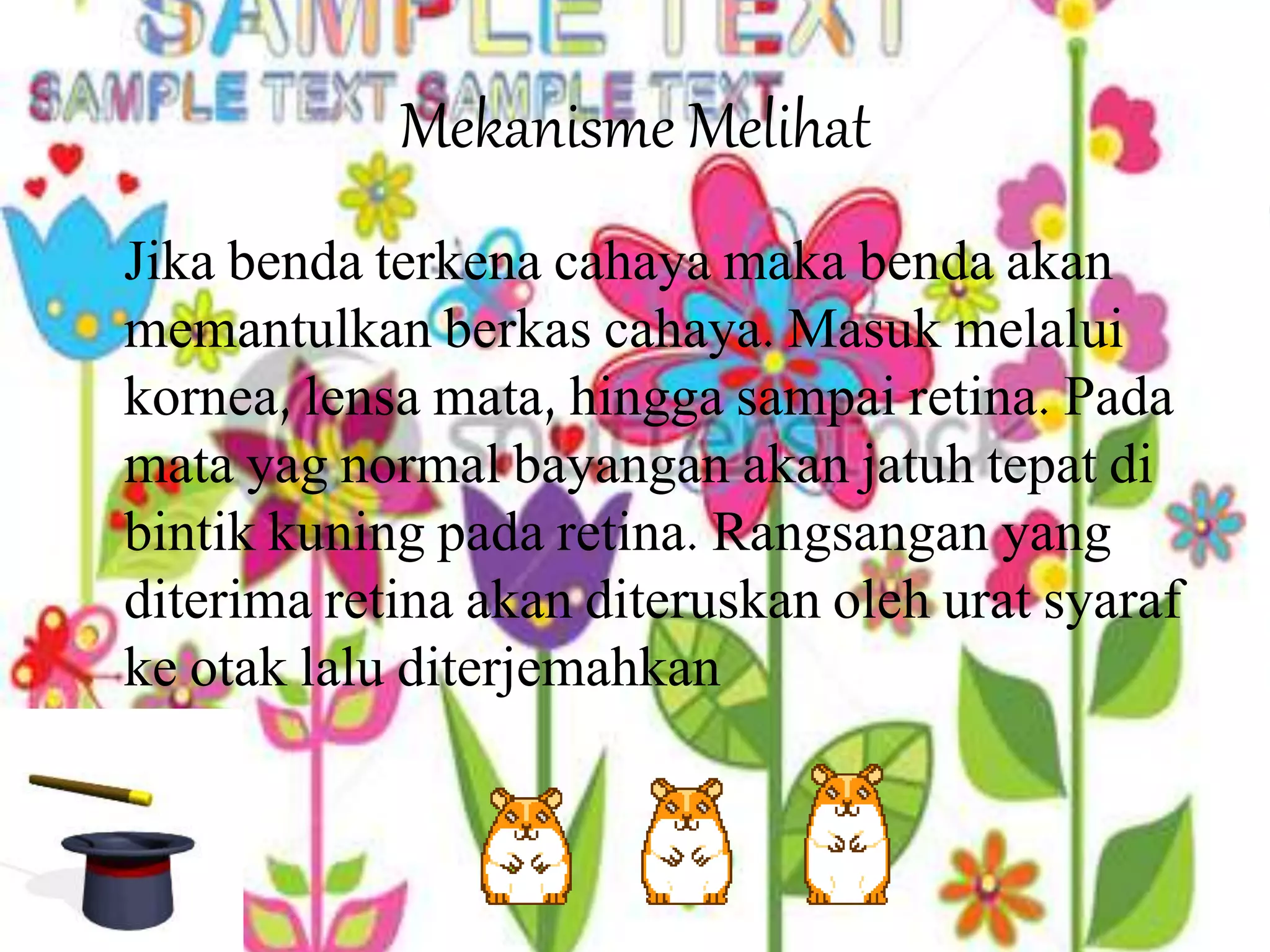 Bagian Bagian Mata | PPTX