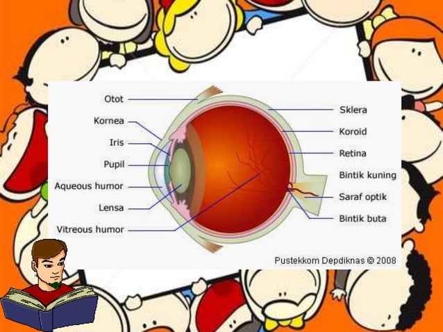 Bagian Bagian Mata | PPTX