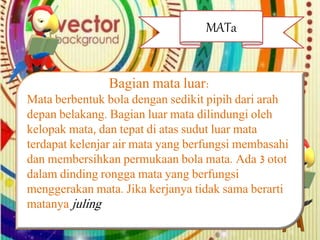 Bagian Bagian Mata | PPTX