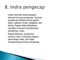 Indra Penglihatan & Indra Pengecap | PPT