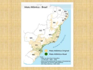 Mata Atlantica | PPTX