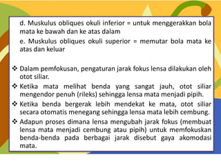 Fisika (MATA & CACAT MATA) | PPTX