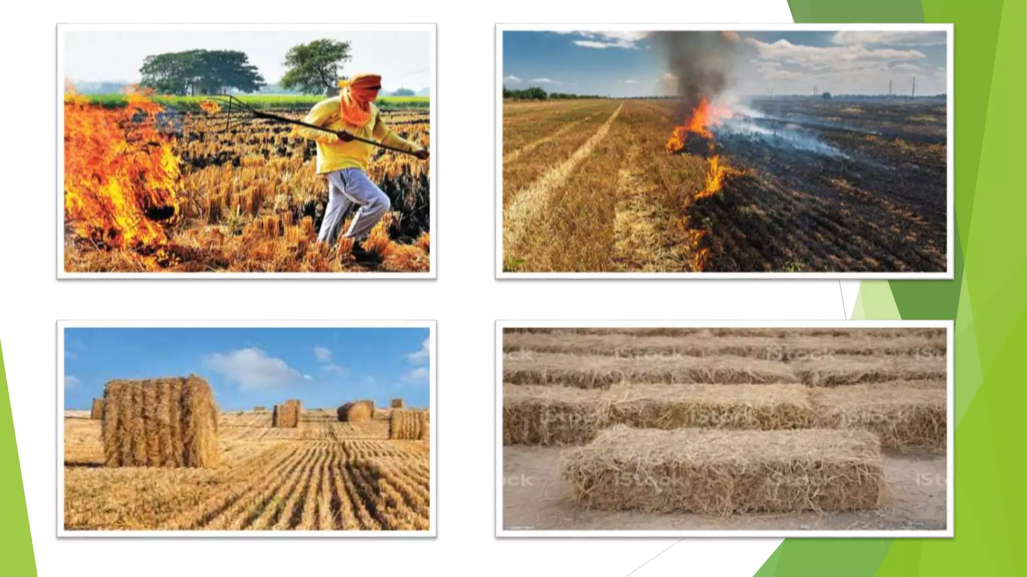 crop residue burning .pptx