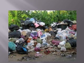 Mat a lebah vs mata lalat | PPT