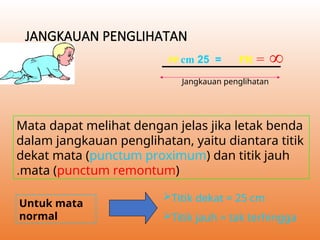 MATA. Mata merupakan salah satau dari alat optik. | PPT