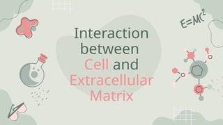 Composition of the Extracellular Matrix powerpoint presentation | PPT