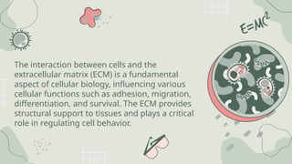 Composition of the Extracellular Matrix powerpoint presentation | PPT