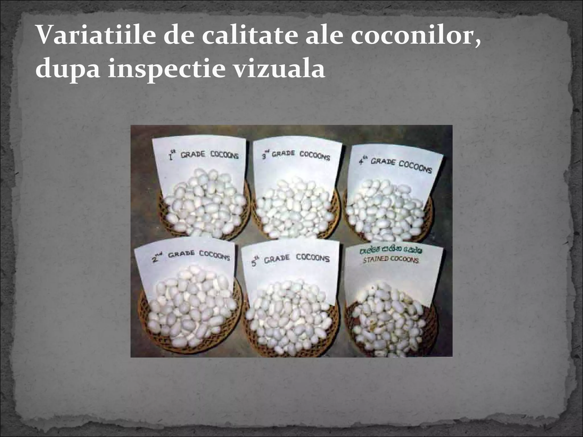 Matasea naturala | PPT