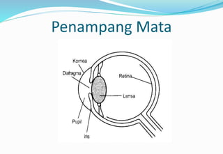 Mata sebagai alat indra | PPTX