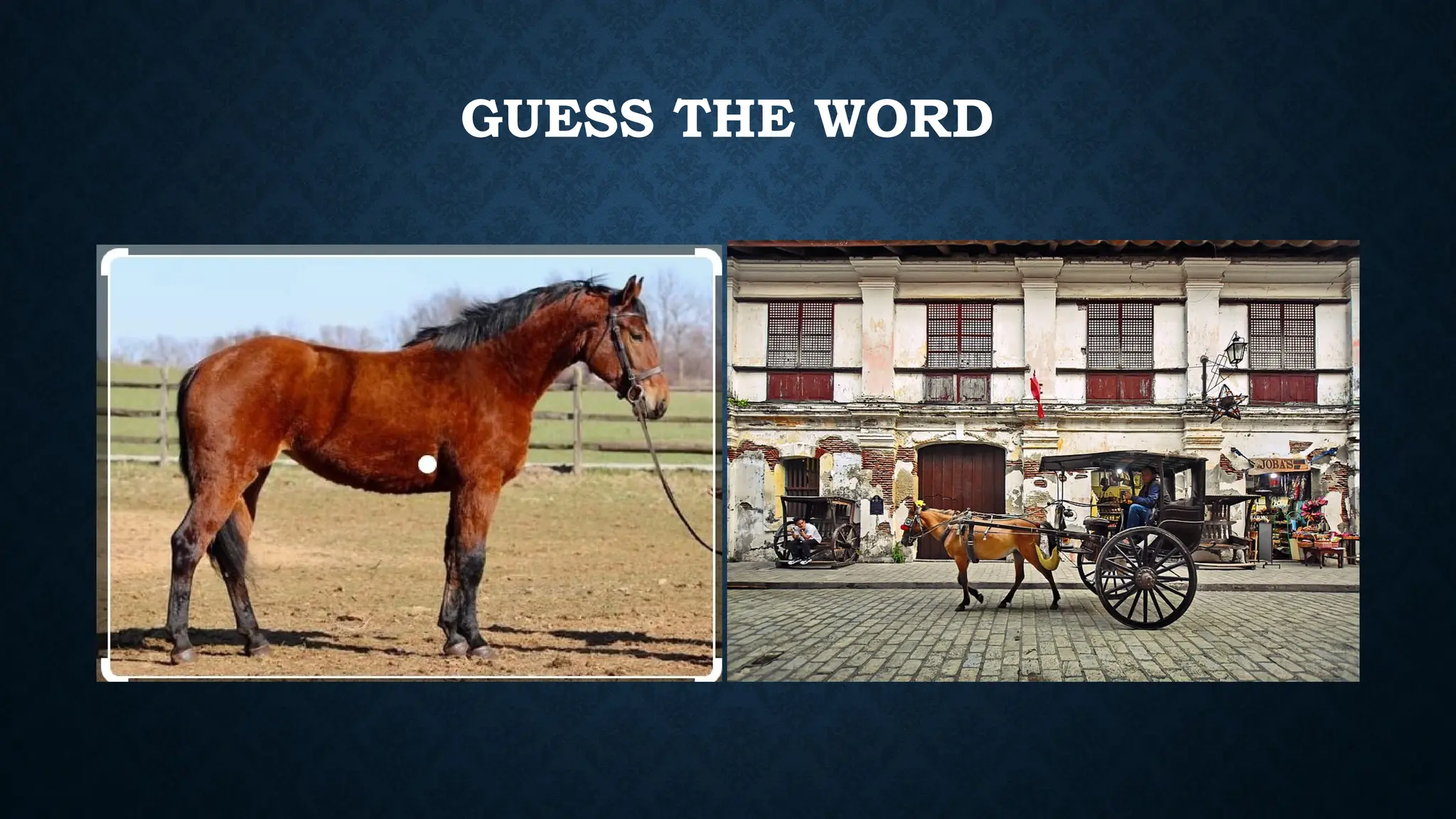 matatag English Q1W2.pptx Quarter 1 Week 2 | PPTX