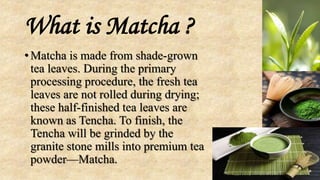 What Is Matcha ? | PPTX